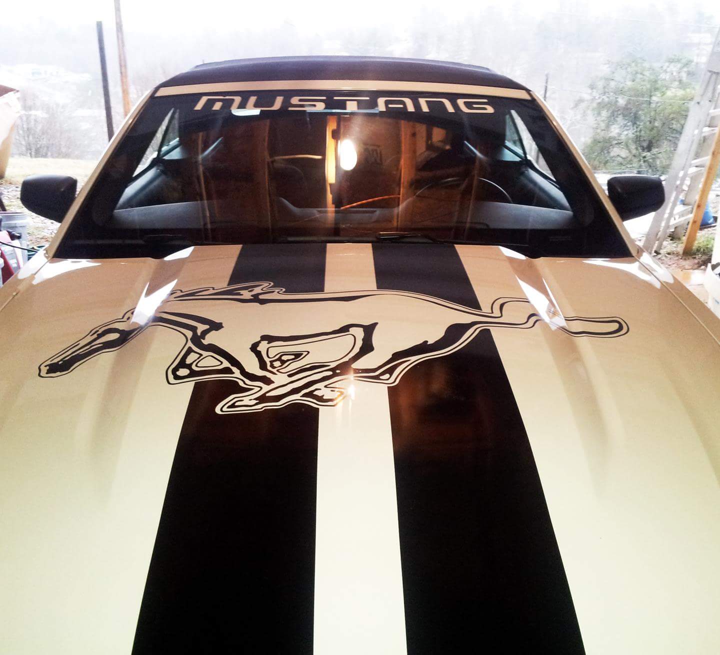 Windshield Banners – American Custom Products, Inc.